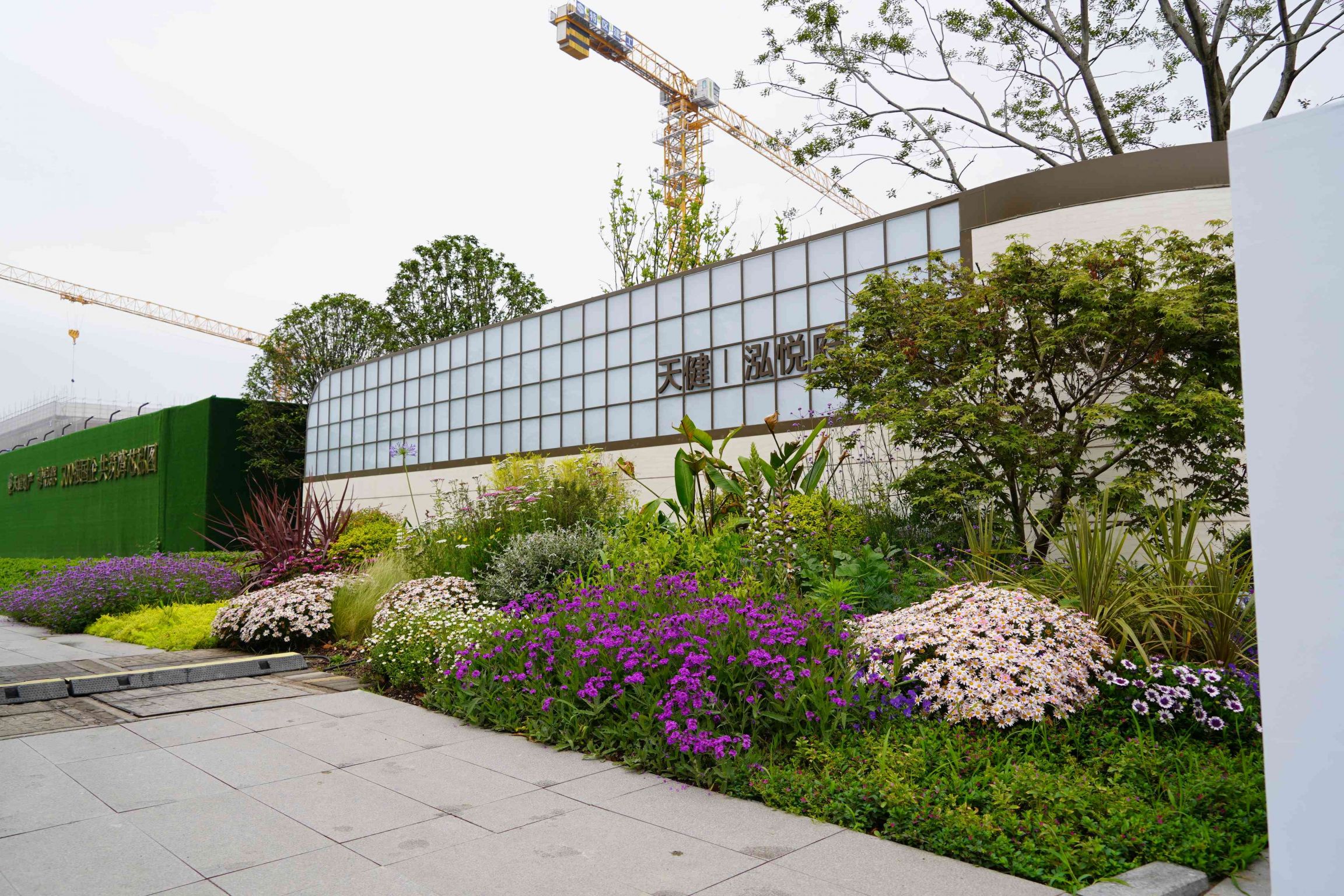 吴江WJ-J-2022-001号地块项目 展示区花境工程 - 施工类 - 园冶杯国际竞赛组委会 - Powered by Discuz!