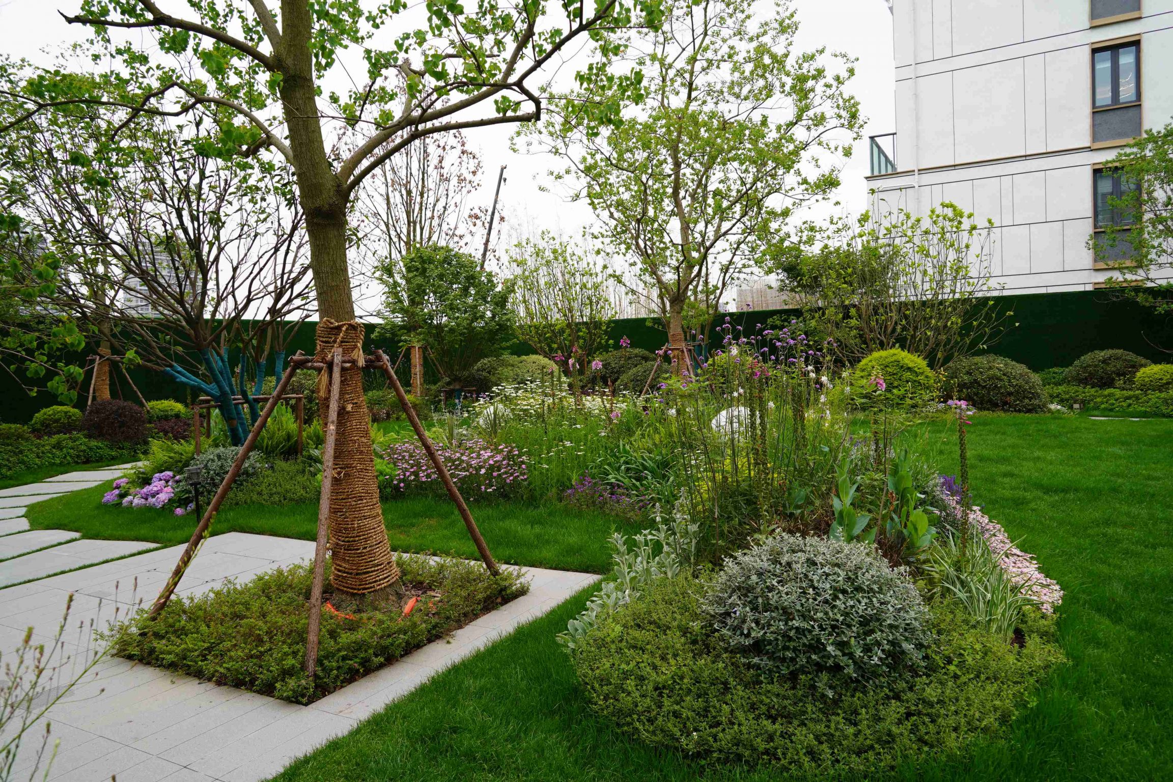 吴江WJ-J-2022-001号地块项目 展示区花境工程 - 施工类 - 园冶杯国际竞赛组委会 - Powered by Discuz!